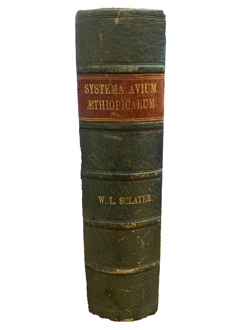 SYSTEMA AVIUM AETHIOPICARUM, a systematic list of the birds of the Eth ...